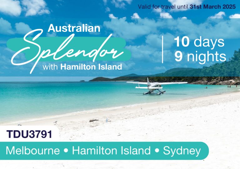 Packages | Turtle Down Under